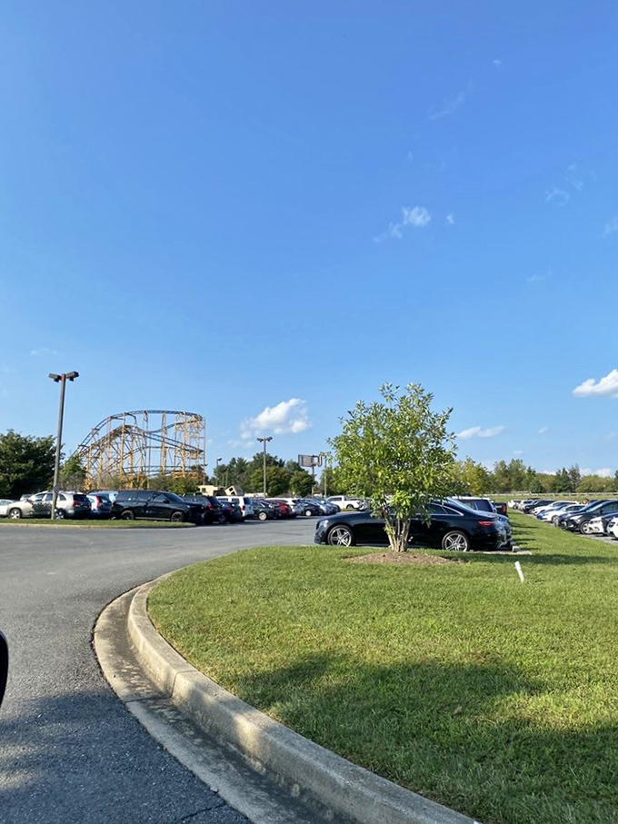 The parking lot view reveals the Wildcat's impressive silhouette&mdash;a reminder that adventure awaits just steps away from your sensible family vehicle.
