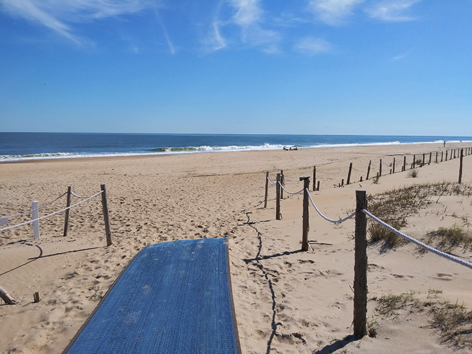 The boardwalk to bliss. This humble path delivers you from ordinary life to extraordinary views in just twenty steps.