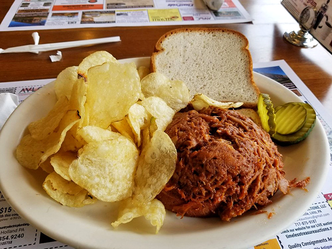 BBQ pulled pork with chips—a sandwich so honest and straightforward, it would make an excellent presidential candidate.