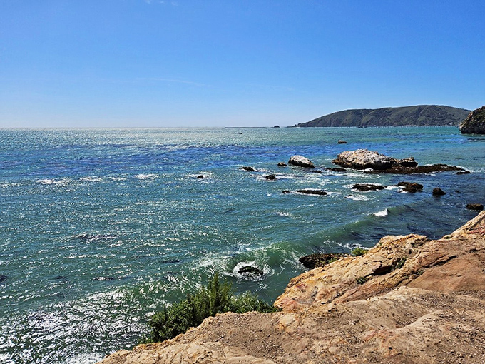 Water so clear you can practically read yesterday's newspaper through it. Nature's aquarium displays its treasures for free.