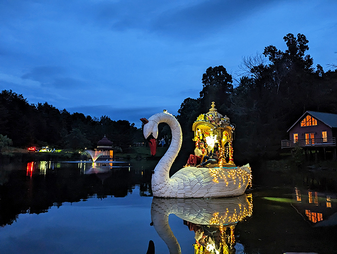 A illuminated swan boat glides across dark waters like something from a fairytale. Walt Disney himself would be taking notes.