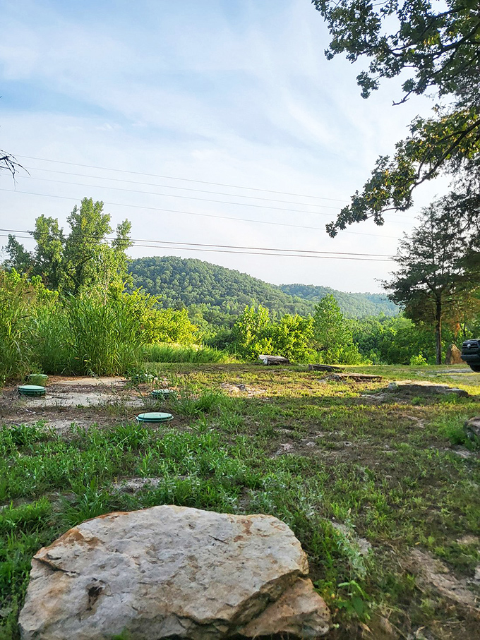 The Ozarks roll away like green waves frozen in time. This view reminds you why people have been falling in love with these hills for generations.