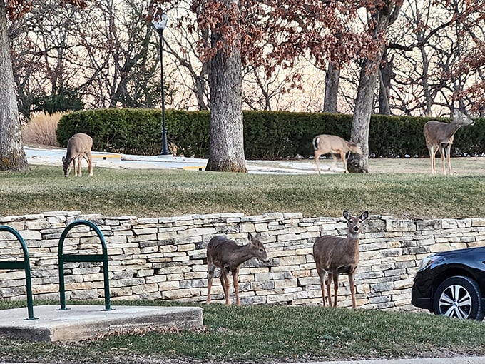 Even the local wildlife appreciates historic architecture&mdash;these deer making themselves at home on the grounds like nature's own preservation committee.