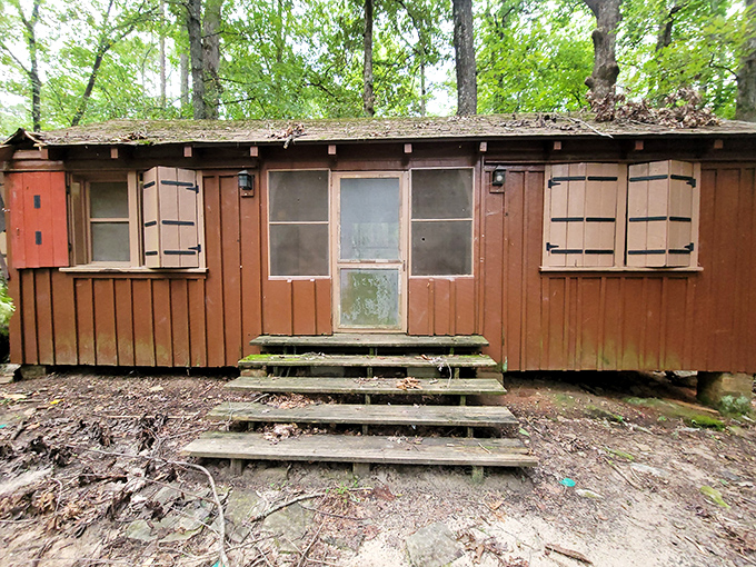 Rustic cabins offer woodland immersion with just enough shelter to keep the elements at bay. Early settler chic meets weekend getaway vibes.