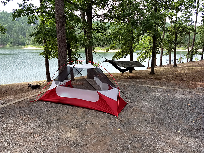 Home sweet temporary home! This lakeside campsite offers the rare opportunity to wake up to views that millionaires would envy, at a fraction of the cost.