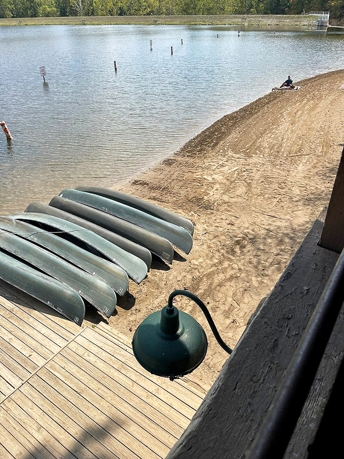 Your chariot awaits at the water's edge. These aluminum explorers promise adventures to hidden coves unreachable by hiking boots alone.