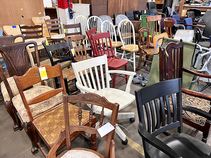 A parliament of chairs in session, debating which one will support your posterior during future Netflix marathons.