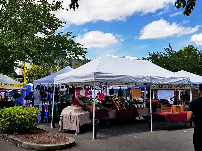 Salem's farmers market: where your social security check buys farm-fresh produce and the satisfaction of supporting neighbors instead of corporations.