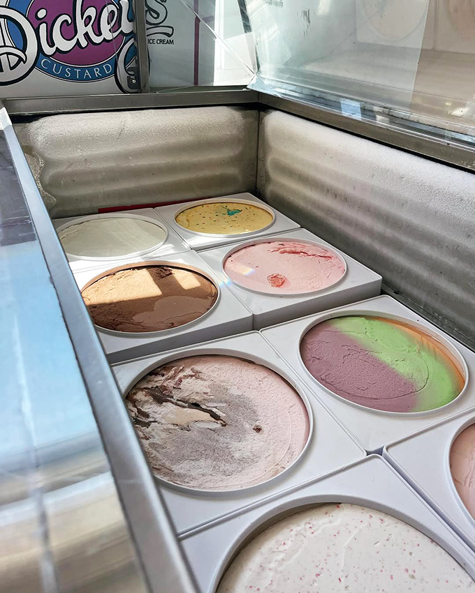 The treasure chest of frozen dreams! Each perfectly maintained pan of custard promises a different path to happiness.