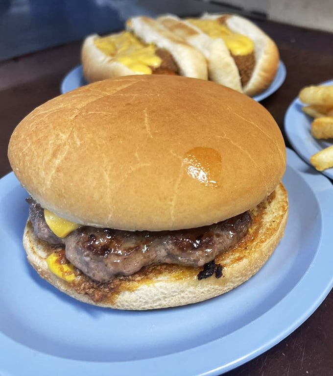 A cheeseburger so honest it could run for office. The toasted bun, melted cheese, and juicy patty create the holy trinity of diner perfection.