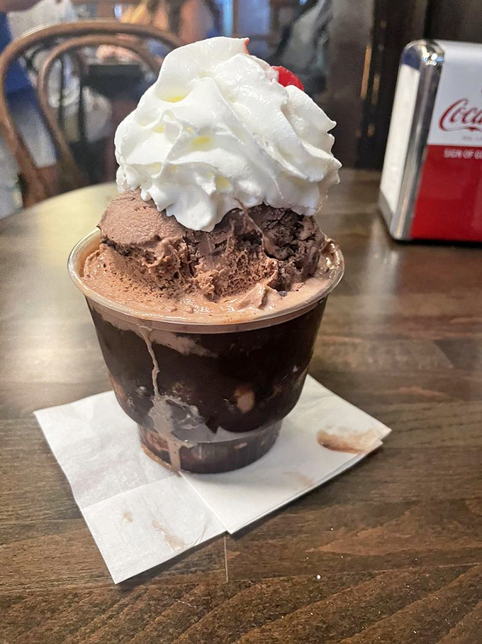 This chocolate sundae isn't just dessert; it's a masterpiece of engineering where hot fudge meets cold cream in perfect harmony.