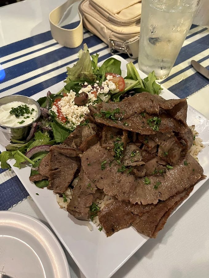 A plate of perfectly seasoned gyro meat over rice with a side salad&mdash;proof that sometimes the simplest combinations are the most satisfying.
