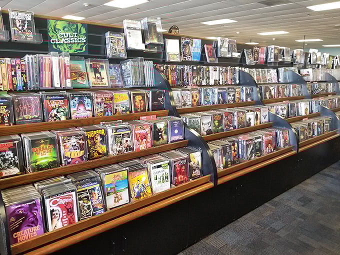 The DVD section defies streaming services with titles you forgot you loved. Physical media rebels against the digital revolution with tangible nostalgia.