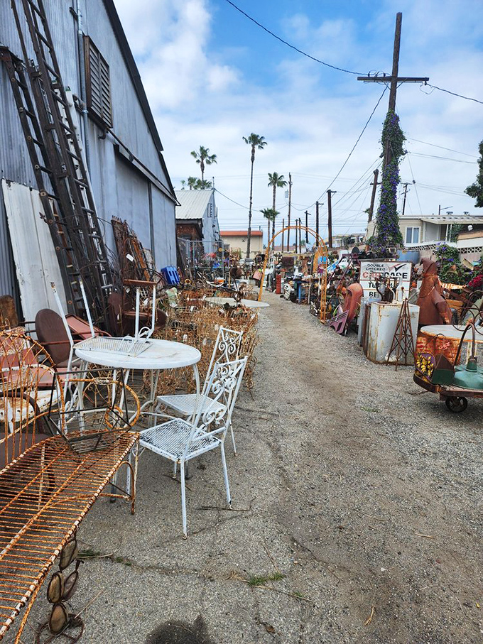Palm trees watch over a graveyard of garden furniture where wrought iron pieces wait patiently for their second chance at patio glory.