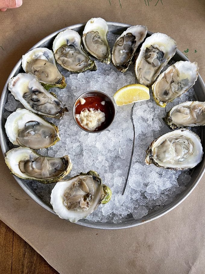 A dozen oysters arranged in a perfect circle, like Neptune's version of a clock where every hour is happy hour.