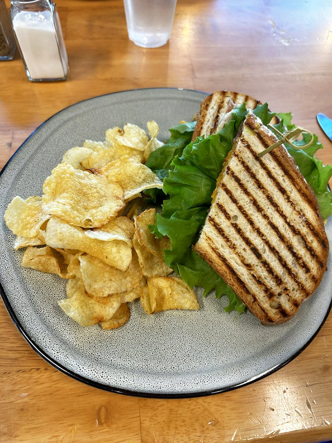 The perfect panini press marks are like tiger stripes—evidence that this sandwich has earned its stripes through proper technique and patience.