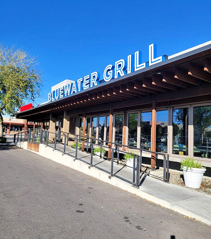 Octopus transformed from intimidating sea creature to culinary masterpiece. Those crispy potatoes underneath are the unsung heroes.