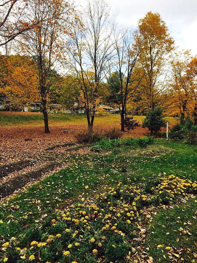 Fall in Rhinebeck paints the landscape in amber and gold, creating the kind of seasonal splendor that makes New Englanders jealous.