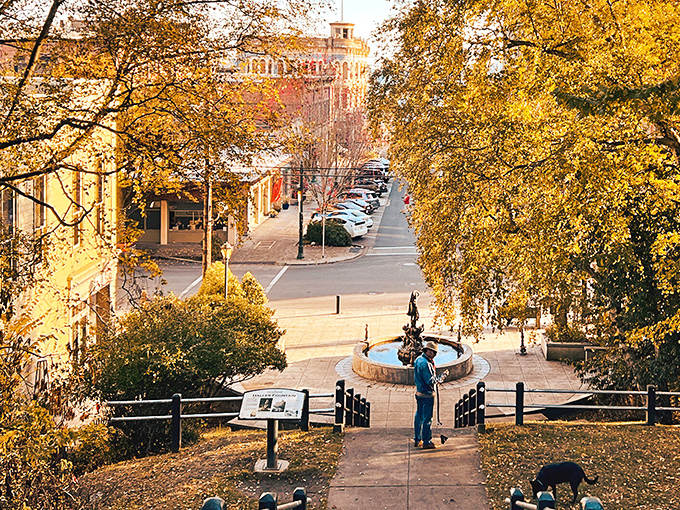 Autumn gilds the town in golden light, transforming ordinary streets into pathways that seem to lead directly into a nostalgic painting of small-town America.