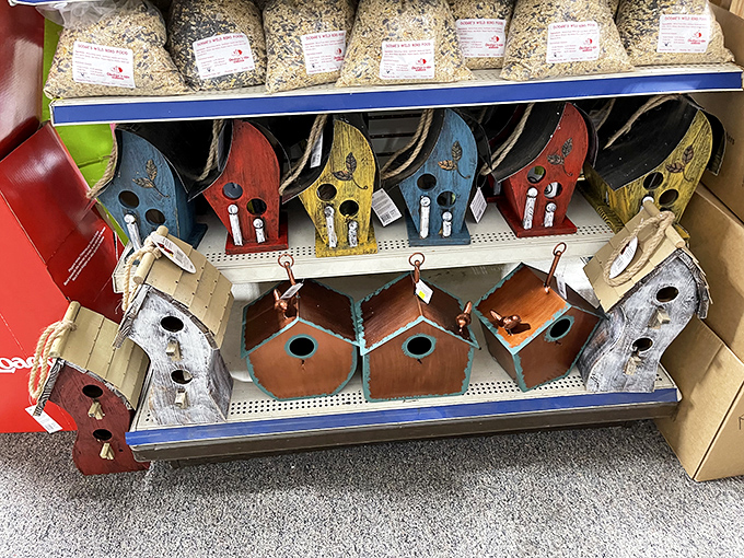Birdhouse boulevard &ndash; where feathered neighbors shop for real estate in styles ranging from rustic cabin to whimsical cottage.