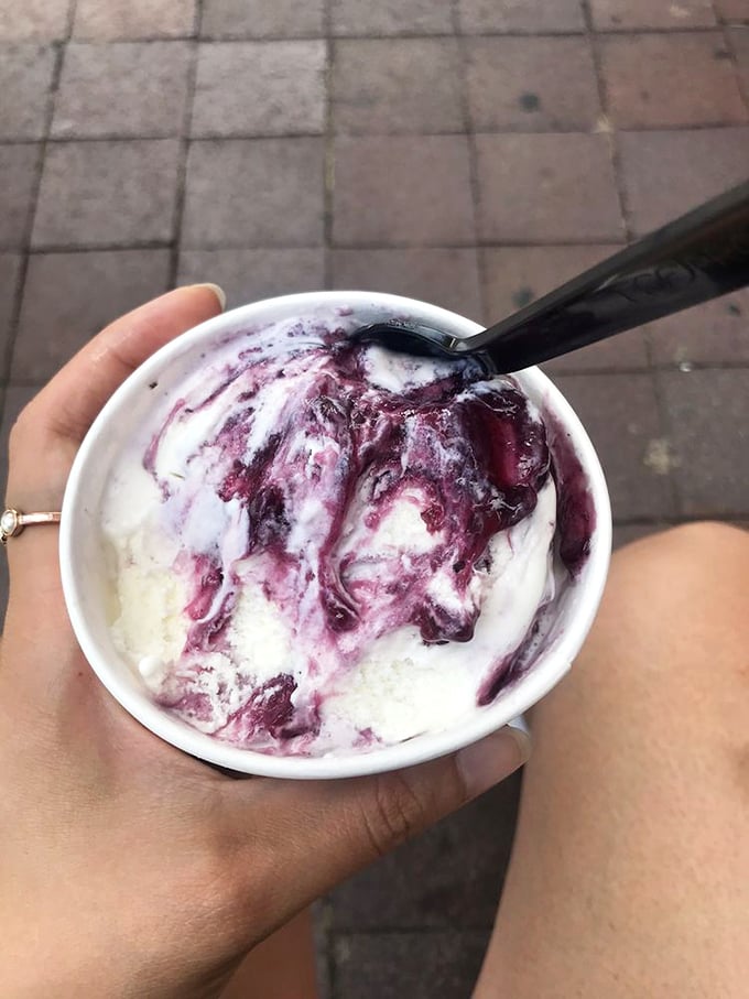 Blueberry cheesecake ice cream posing majestically before its admirer. Some relationships are meant to be brief but memorable. 