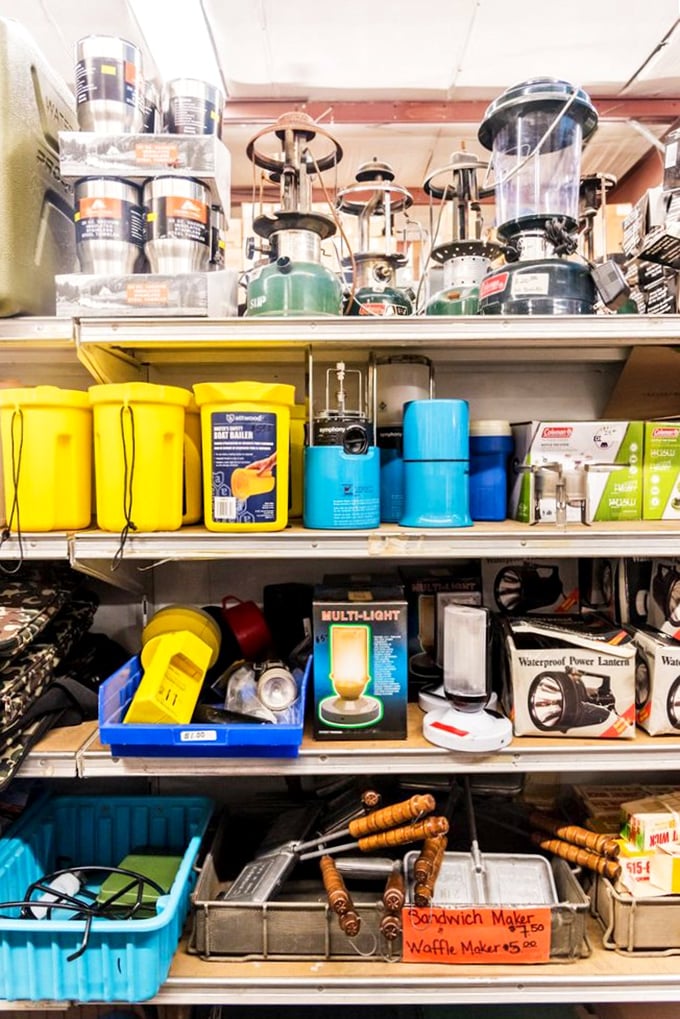 Camping gear paradise where Coleman meets creativity. That sandwich maker might just revolutionize your next outdoor breakfast experience.