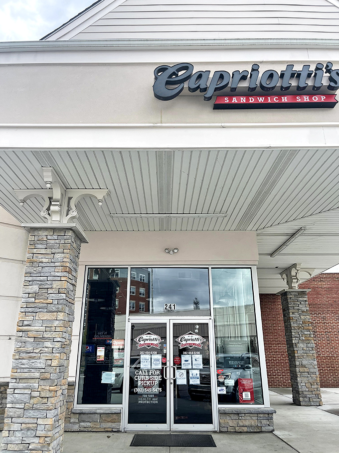 Capriotti's Sandwich Shop brings Delaware's famous sub culture to Newark. Their legendary Bobbie sandwich might be the best Thanksgiving dinner you'll have outside November.