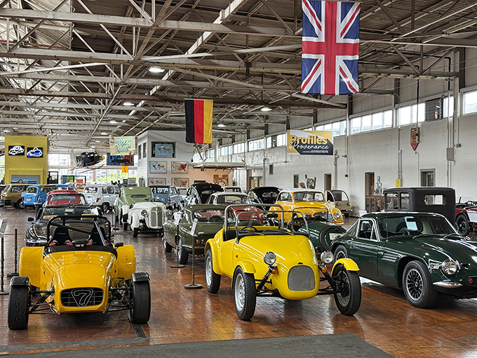 A rainbow of European engineering excellence stretches across the museum floor. From racing legends to everyday heroes, each with stories to tell.