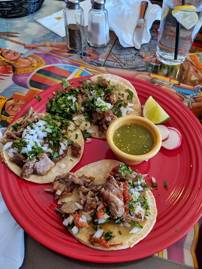 Street tacos done right – simple corn tortillas cradling perfectly seasoned meat, topped with just cilantro, onion, and a squeeze of lime.