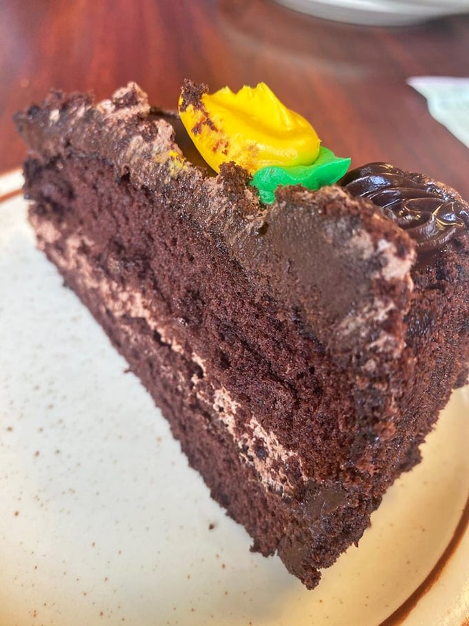 Chocolate cake so rich it probably has its own accountant. Those colorful decorations are just showing off.