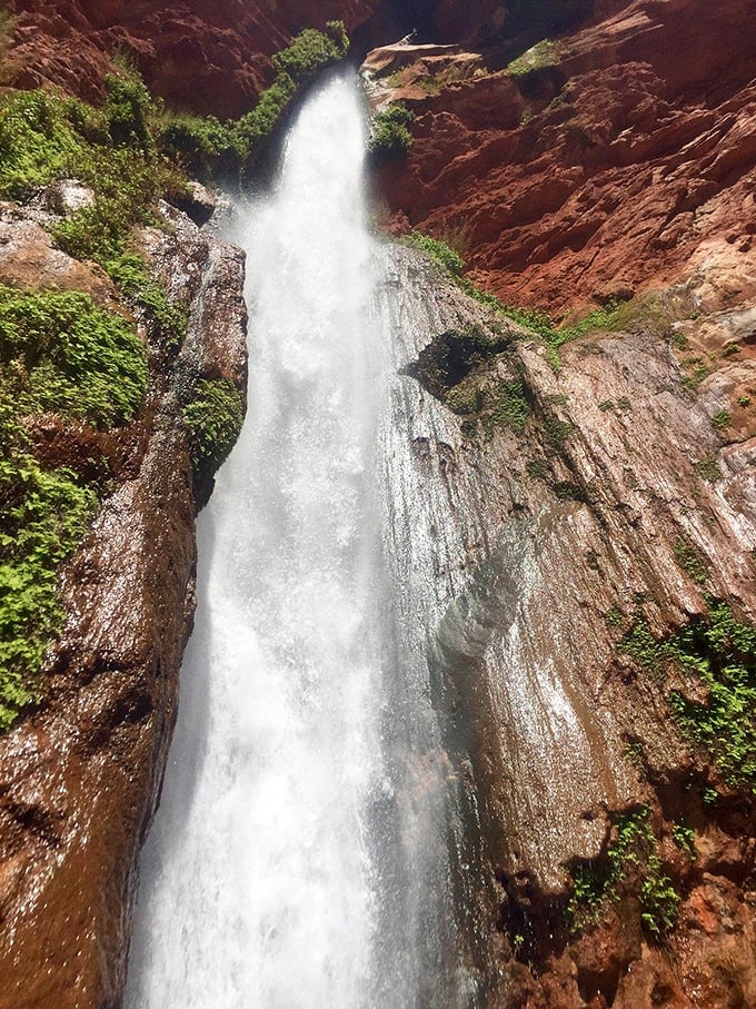 Water meets wilderness in a spectacular free-fall, proving that even in the desert, nature finds ways to show off.