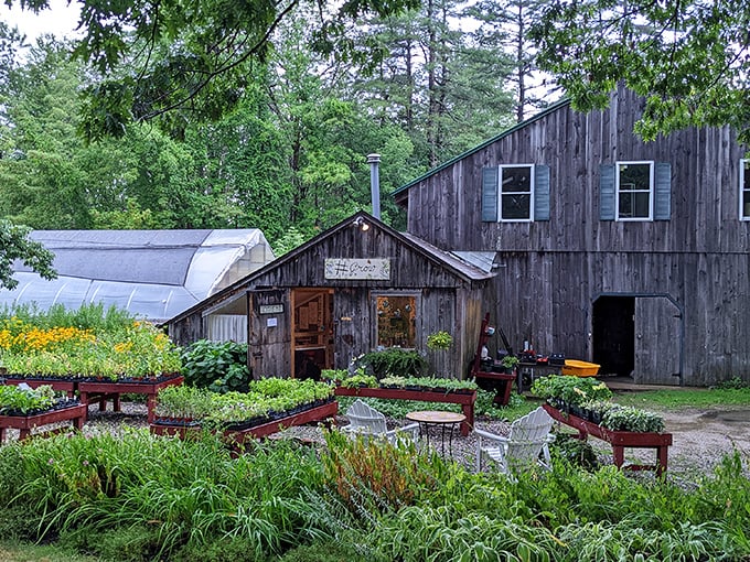Gardens that work for a living. These aren't just pretty plants&mdash;they're the supporting cast for culinary performances happening inside.