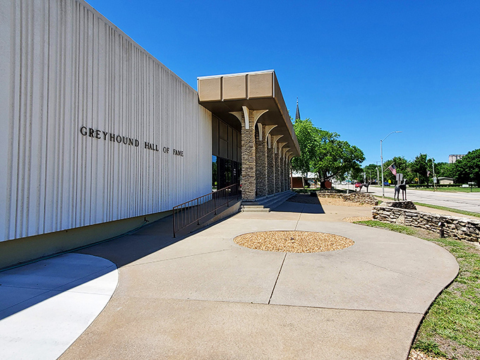 The Greyhound Hall of Fame celebrates speed and grace in canine form&mdash;a niche museum that somehow manages to be fascinating even to cat people.