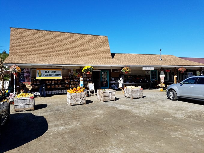 Hager's Farm Market displays its harvest bounty like proud parents at a recital&mdash;local produce that never had to suffer the indignity of cross-country shipping.
