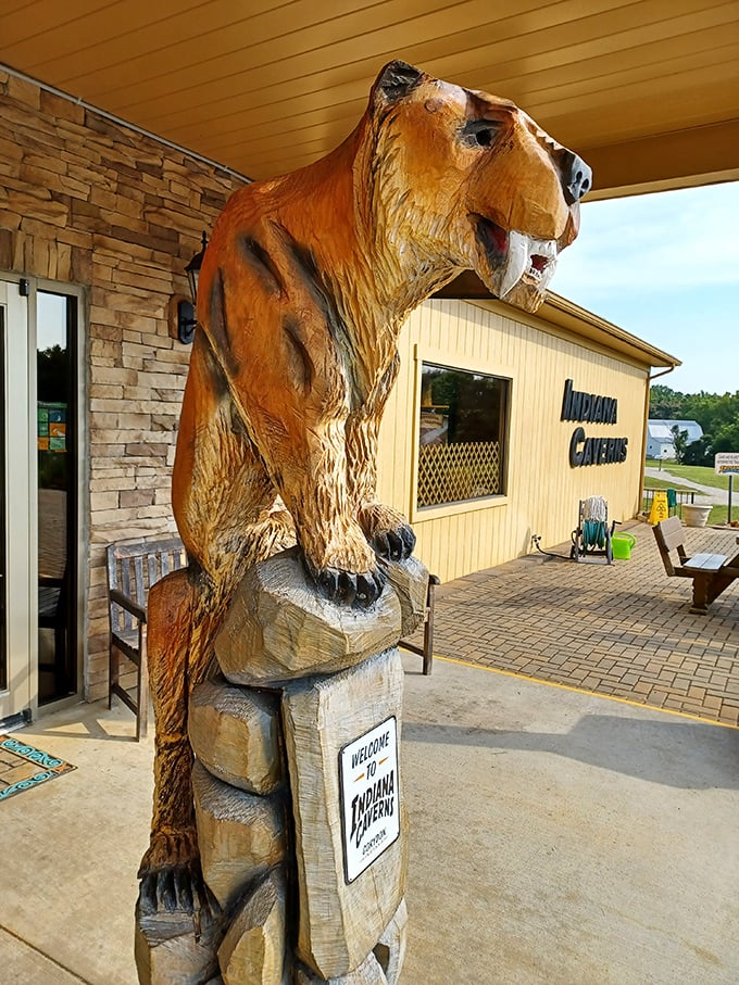 Guarded by a watchful saber-toothed welcome committee, the entrance to Indiana Caverns invites adventurers into a world frozen in time.