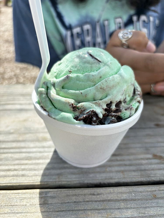 Mint ice cream with chocolate chunks&mdash;nature's perfect cooling system with surprise treasure buried throughout. Like hiking in the woods and finding chocolate.