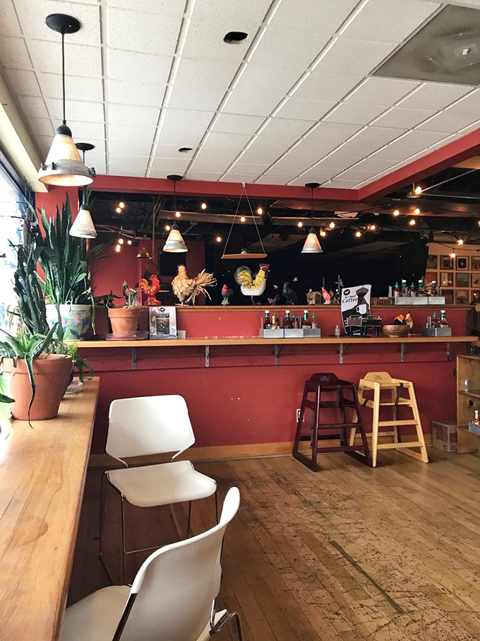 Plant life and rooster figurines add homey charm to the counter space &ndash; like having breakfast at a cool friend's apartment.