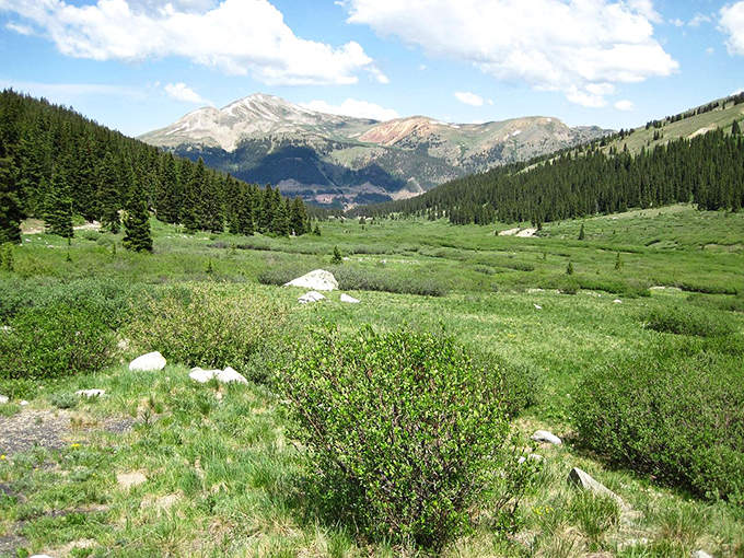 Alpine meadows stretch toward distant peaks, a view that makes you wonder why you ever complained about your office having no windows.