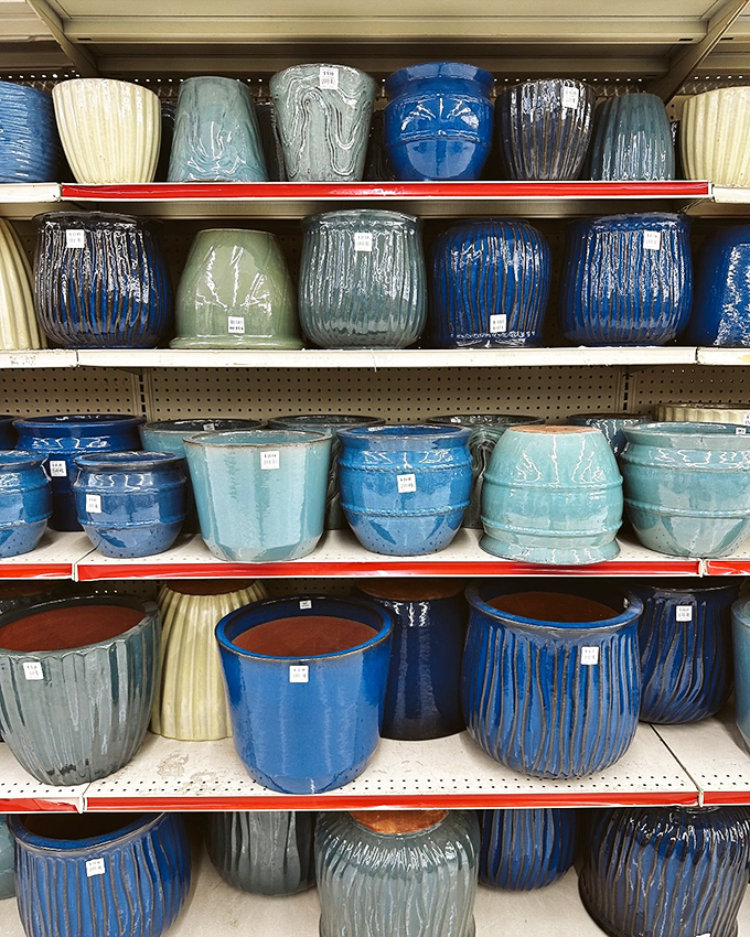Ceramic planters in soothing ocean hues &ndash; like a pottery studio exploded in the most organized way possible.