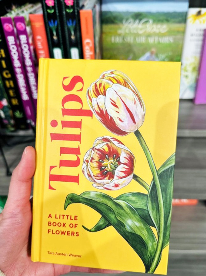 A book on flowers that somehow makes you nostalgic for gardens you've never tended. Bibliotherapy in its most beautiful form.