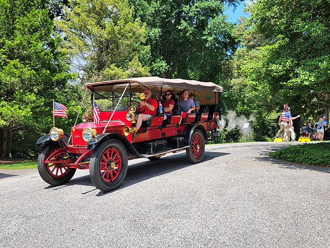 Steam power in motion! This magnificent red chariot doesn't just transport passengers&mdash;it carries them across centuries of automotive history.