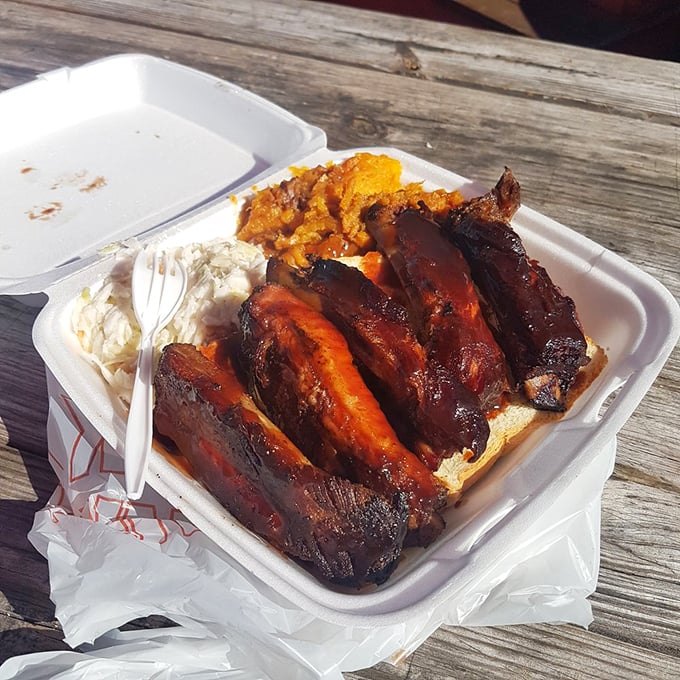 Ribs with such a perfect smoke ring, they should be hanging in the Louvre instead of sitting in this takeout container.