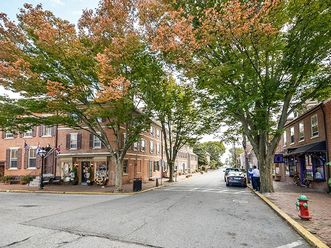 Tree-lined streets frame the perfect small-town intersection. That fire hydrant has probably witnessed more town gossip than the local barber shop.