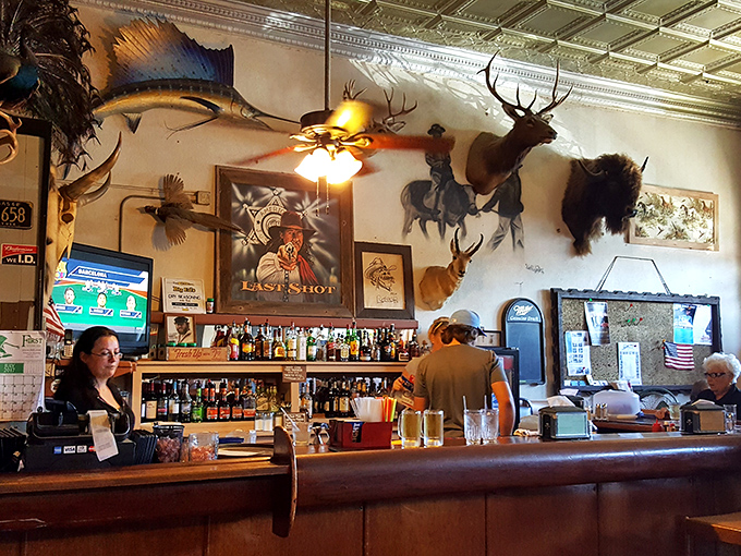 Behind every great steakhouse is a bar that understands its mission: cold beer, good conversation, and enough taxidermy to feel authentically Kansan.