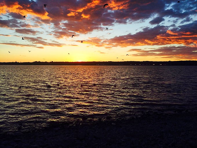 Sandy shores along Columbus's waterways offer unexpected beach vibes in the heart of Mississippi. Who needs the ocean when paradise is this close? 