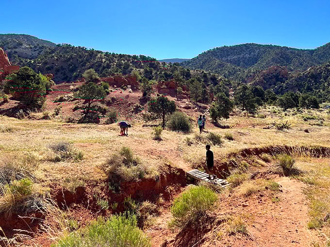 Thunderbird Gardens' trails offer the perfect palate cleanser between vintage shops&mdash;nature's antiques are millions of years old and absolutely free.