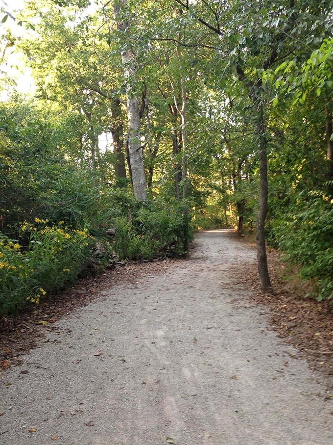 Wooded trails offer peaceful retreats just minutes from downtown. Nature's stress relief program comes with no monthly subscription fee.