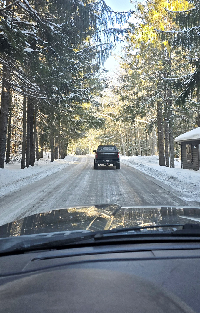Winter driving through Big Run's snow-lined forest feels like sliding through a Christmas card. No filter needed for this Instagram moment.