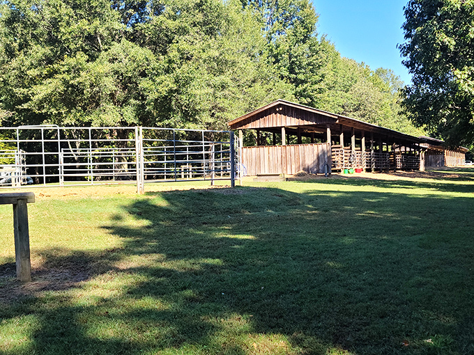 This rustic barn area hosts events and gatherings, proving that "meeting space" doesn't always need fluorescent lighting and PowerPoint capabilities.