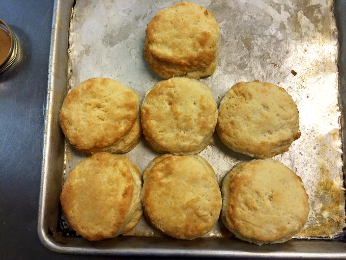 Biscuits lined up like golden soldiers ready for the gravy battle. These aren't just baked goods&mdash;they're Southern heritage in edible form.